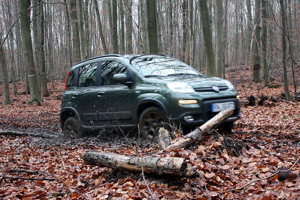 Fiat Panda 4x4 Test: Offroad-Zwerg ärgert die Großen - Speed Heads