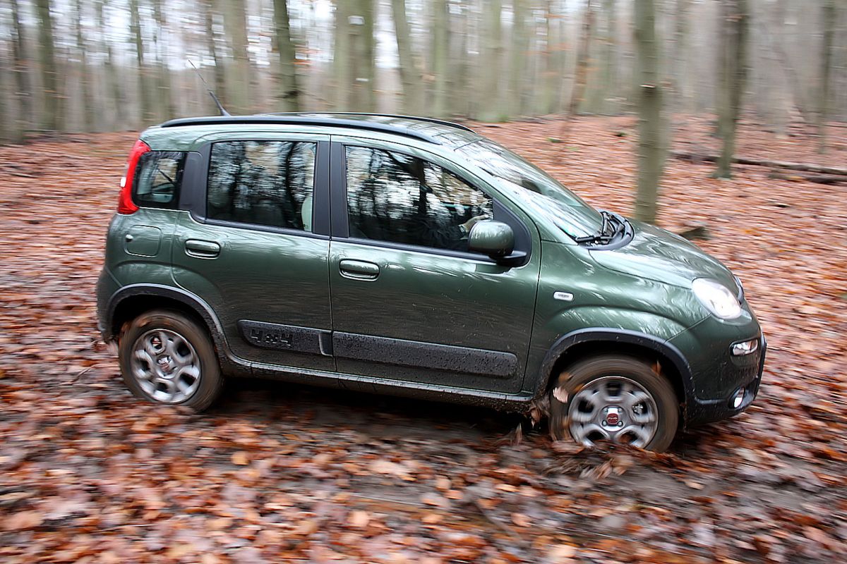 Fiat Panda 4x4 Test: Offroad-Zwerg ärgert die Großen - Speed Heads
