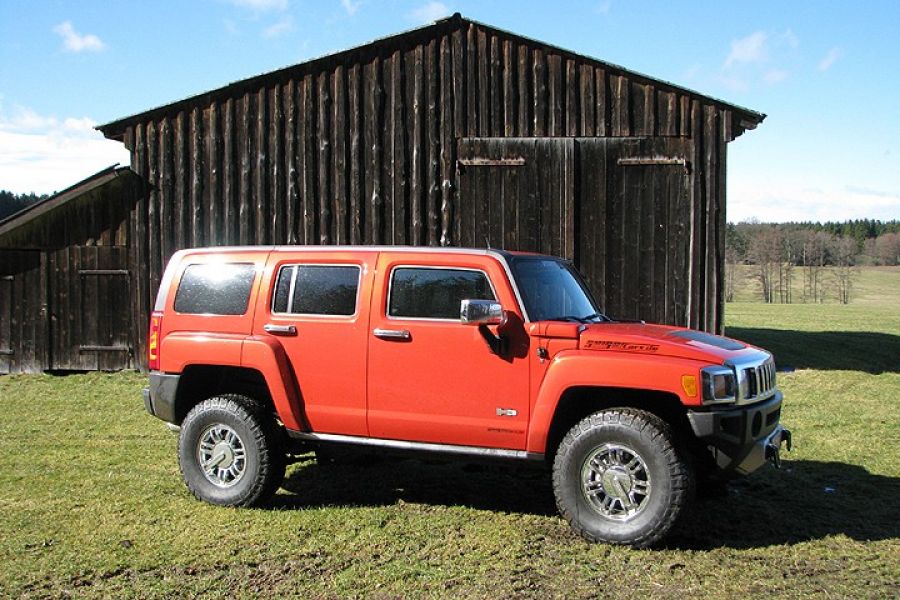 H3: Der Hummer mit Manieren - Speed Heads