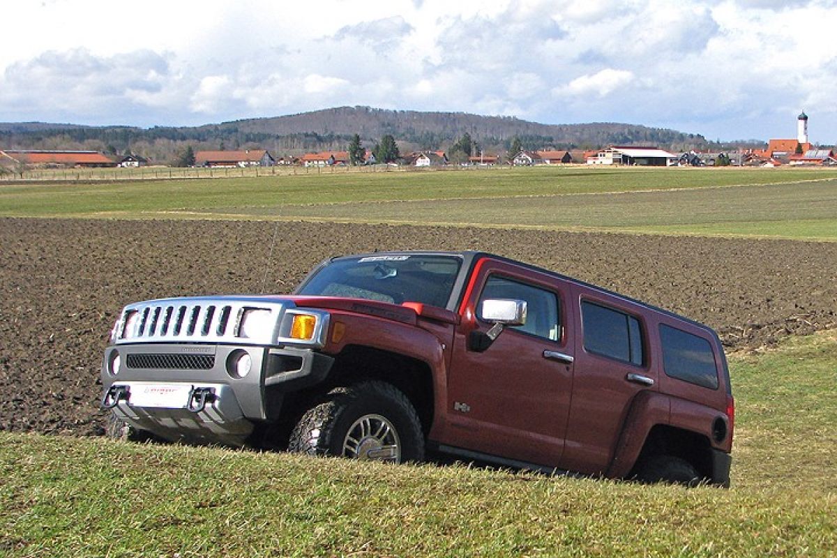 H3: Der Hummer mit Manieren - Speed Heads